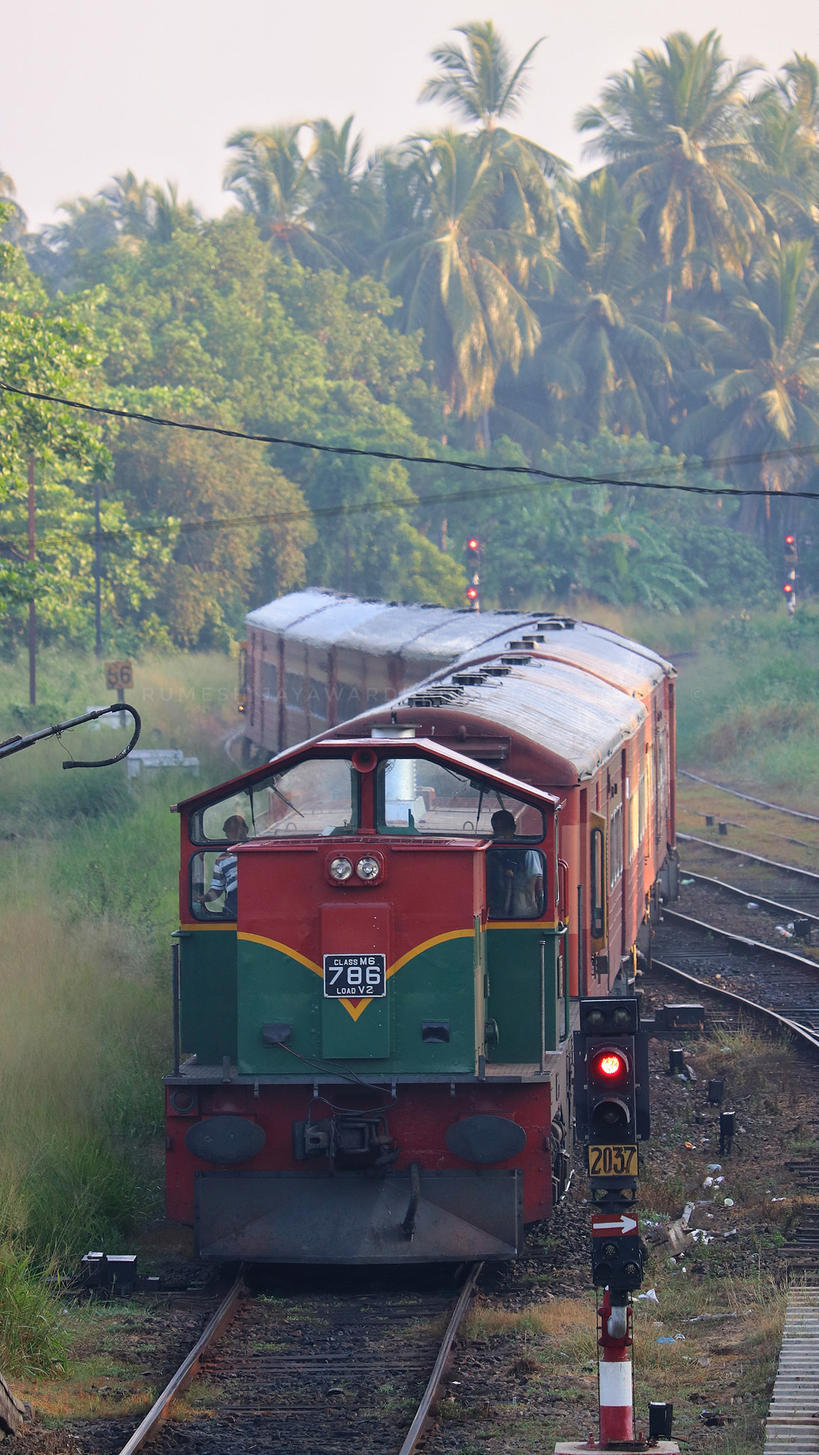 Class M6 Locomotives Celebrate 40 Years of Service